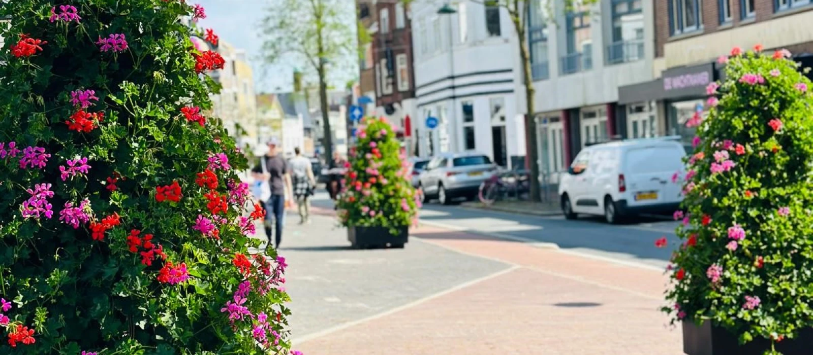 De Havenstraat - Standplaats.nl